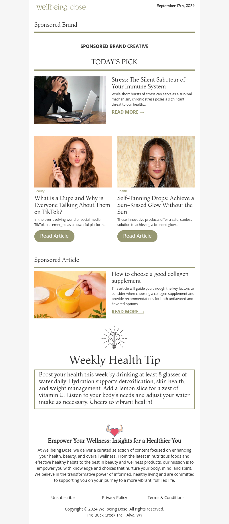 Wellbeing Dose Sponsored Email Advertising | Paved