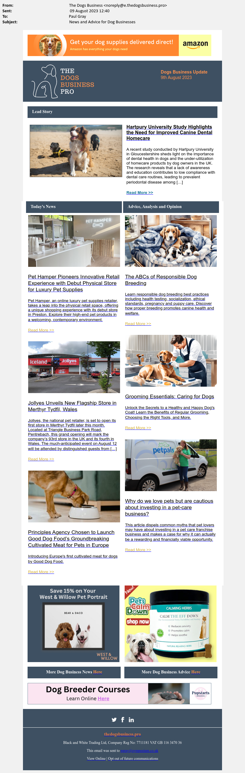 Dogs Business Professional Sponsored Newsletter Advertising | Paved
