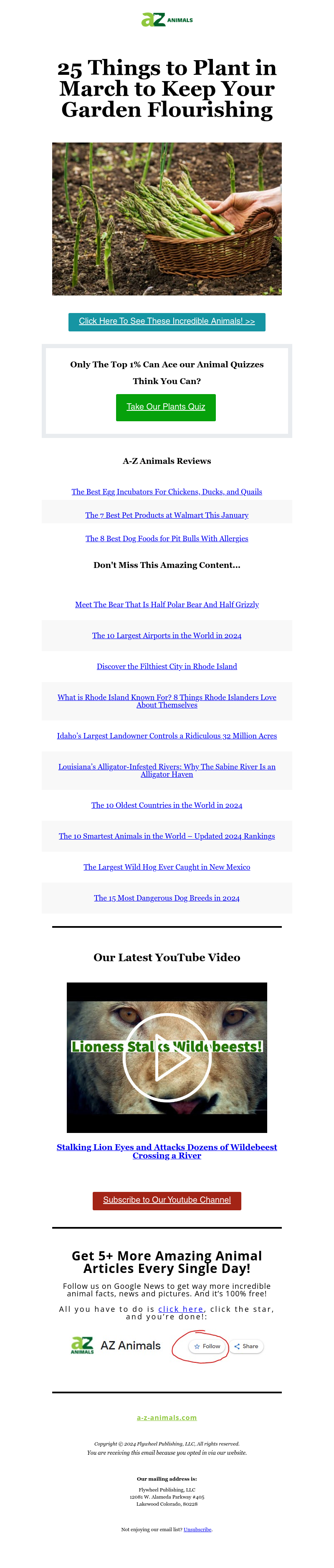 A-Z Animals Sponsored Newsletter Advertising | Paved